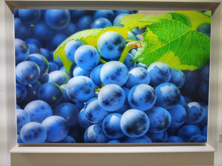 서울아트가이드 Seoul Art Guide